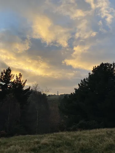 Best Hikes and Trails in Carrickgollogan Wood | AllTrails