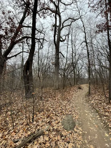 Best Walking Trails in Theodore Wirth Park | AllTrails