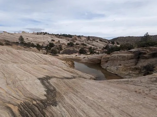 10 Best Moderate Trails in Big Water | AllTrails