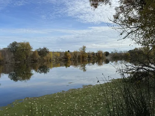 Best Hikes and Trails in Shadow Cliffs Regional Recreation Area | AllTrails