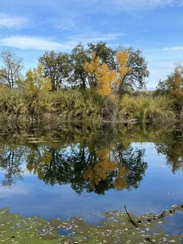 Best Hikes and Trails in Shadow Cliffs Regional Recreation Area | AllTrails