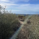 Cold Springs East Fork Trail, California - 344 Reviews, Map | AllTrails