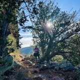 Bell Trail, Arizona - 3,031 Reviews, Map | AllTrails