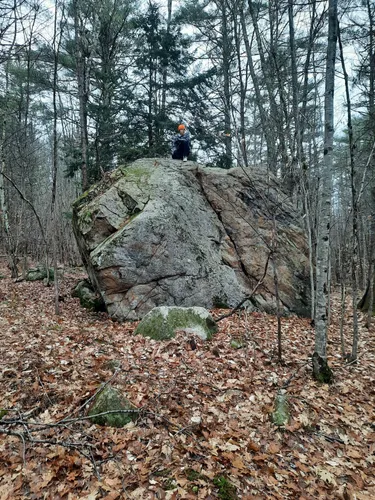 Best Hikes and Trails in Androscoggin Riverlands State Park | AllTrails