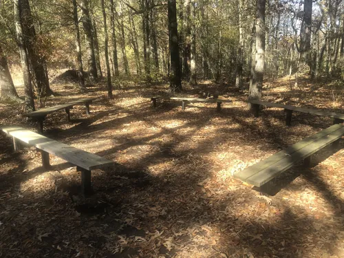 Best Hikes and Trails in Jewel Moore Nature Reserve | AllTrails