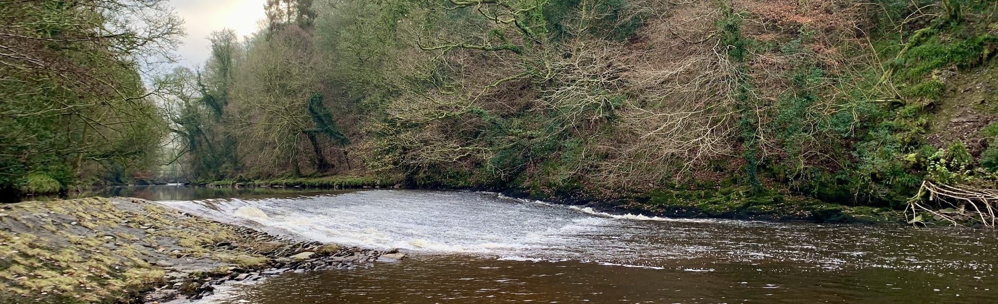 Roe Valley Country Park, and Carrick Church Circular: 102 foto's ...