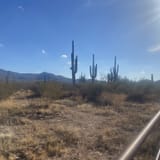 Lower Salt River Nature Trail, Arizona - 1,053 Reviews, Map | AllTrails
