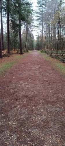 Best Hikes and Trails in Langley Country Park | AllTrails