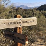 Second Water and Hackberry Spring Loop, Arizona - 1,852 Reviews, Map ...