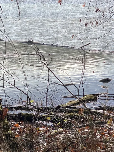 Best Hikes and Trails in Haw Ridge Park | AllTrails