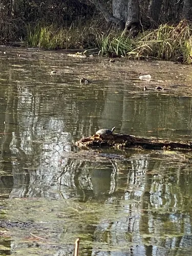 Best Hikes and Trails in Haw Ridge Park | AllTrails