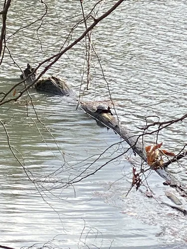 Best Hikes and Trails in Haw Ridge Park | AllTrails