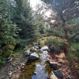 Cedar Butte Trail, Washington - 1,874 Reviews, Map | AllTrails