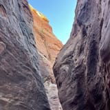 Wire Pass Trail, Utah - 2,685 Reviews, Map | AllTrails