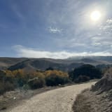 Three Sisters Road Loop, California - 81 Reviews, Map | AllTrails