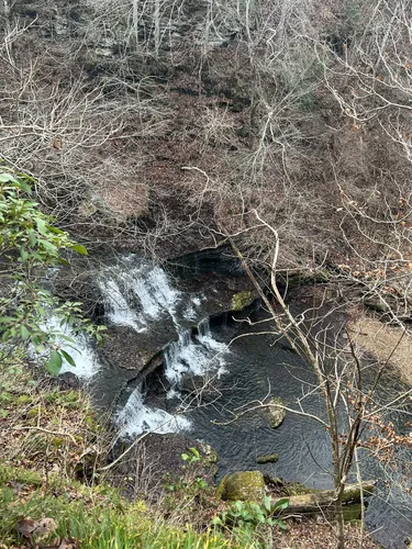 Best Hikes and Trails in Short Springs State Natural Area | AllTrails