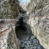 Walls of Jericho Trail, Alabama - 2,201 Reviews, Map | AllTrails