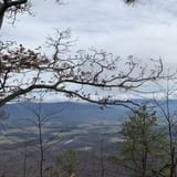 Kennedy Peak Loop, Virginia - 571 Reviews, Map | AllTrails
