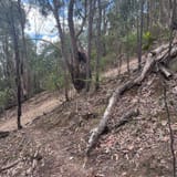 Long Gully Track Loop, Victoria, Australia - 58 Reviews, Map | AllTrails