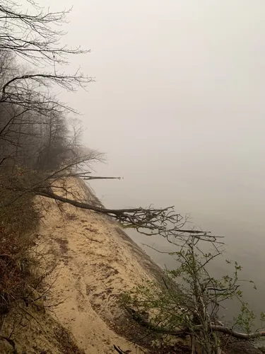 Best Bird Watching Trails in Sparrows Point | AllTrails