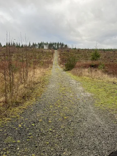 Best Hikes and Trails in Port Gamble Forest Heritage Park | AllTrails