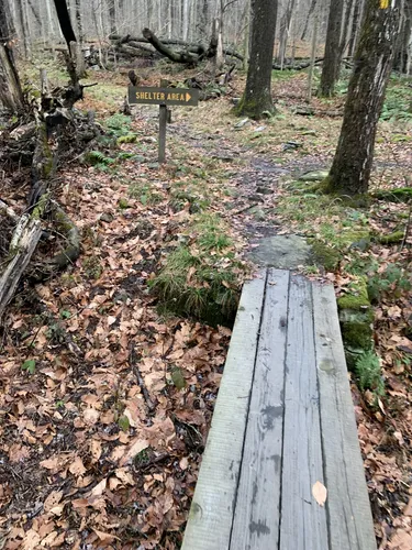 Best Views Trails in Laurel Ridge State Park | AllTrails
