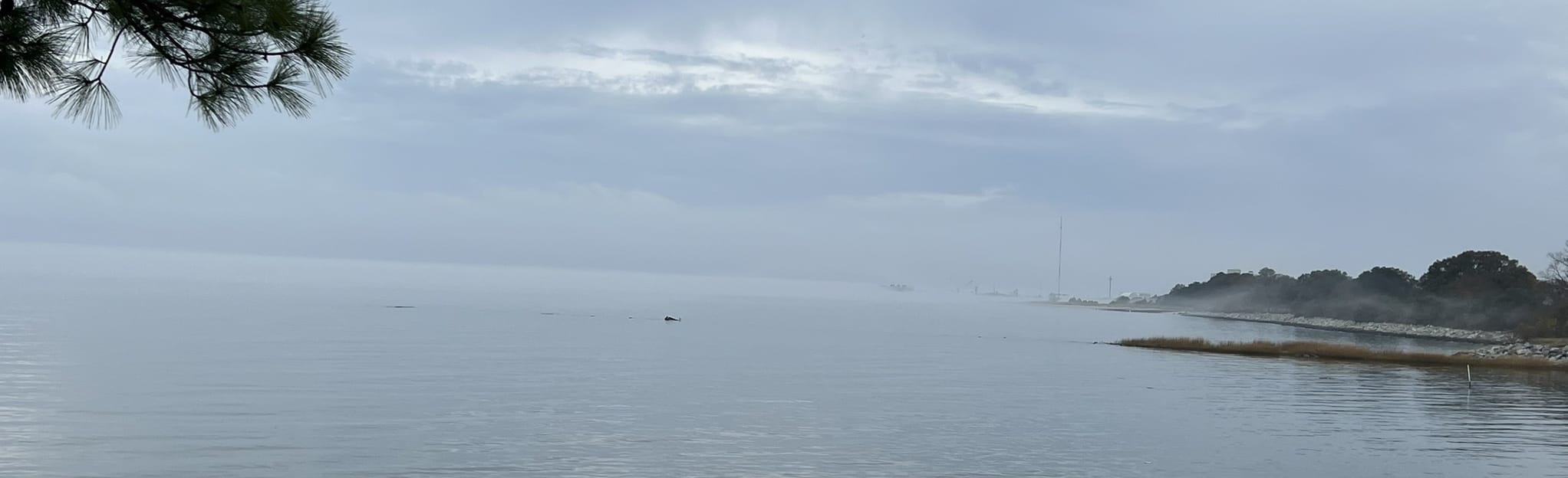 Monitor Merrimac Overlook Park Trail: 11 Fotos - Virginia | AllTrails