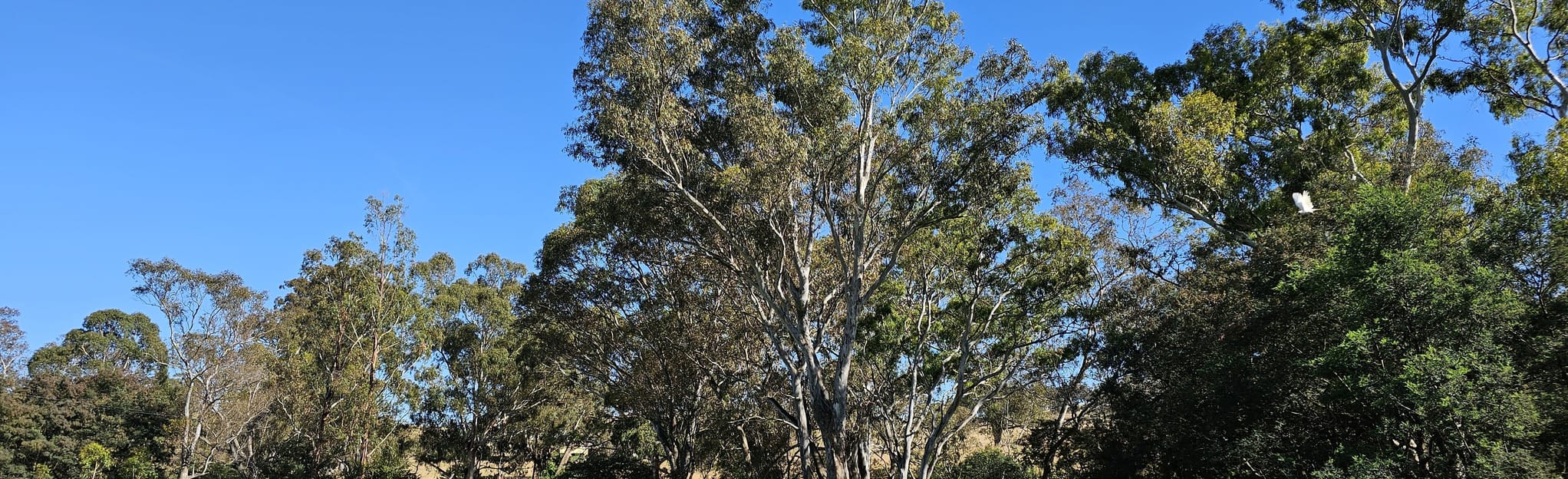 Broadford Town and High Creek Loop, Victoria, Australia - 45 Reviews ...