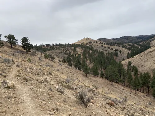 Best Off Road Driving Trails in Reno | AllTrails