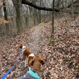 Emma Carlin Trails: Green Loop, Wisconsin - 411 Reviews, Map | AllTrails