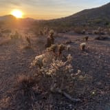 Apache Wash Loop Trail, Arizona - 1,830 Reviews, Map | AllTrails