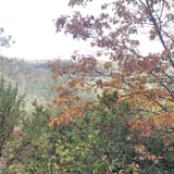 Robie Point Firebreak Trail, California - 1,059 Reviews, Map | AllTrails