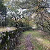 Robie Point Firebreak Trail, California - 1,059 Reviews, Map | AllTrails