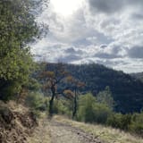 Robie Point Firebreak Trail, California - 1,059 Reviews, Map | AllTrails