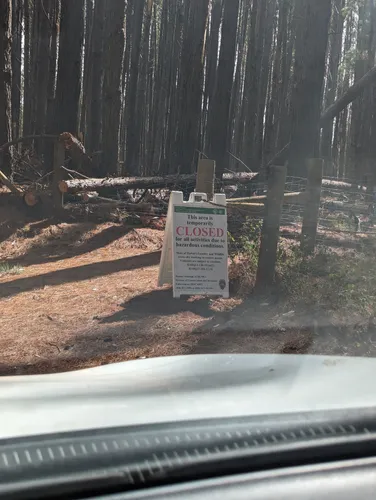 Best Hikes and Trails in Waihou Spring Forest Reserve | AllTrails