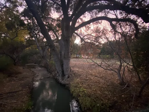 Best Hikes and Trails in Mcclellan Ranch Park | AllTrails