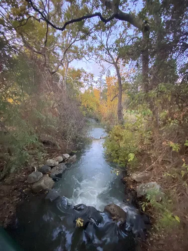 Best Hikes and Trails in Mcclellan Ranch Park | AllTrails