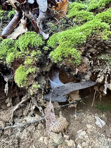 Best Hikes and Trails in Hanging Dog Recreation Area | AllTrails