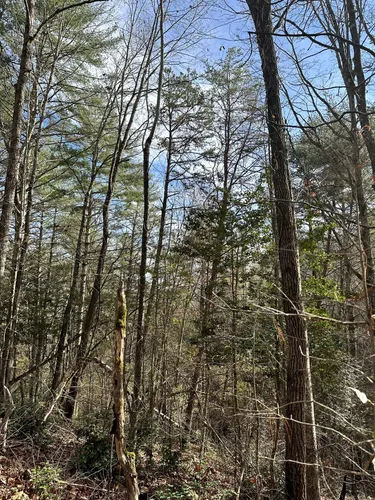 Best Views Trails in Hanging Dog Recreation Area | AllTrails