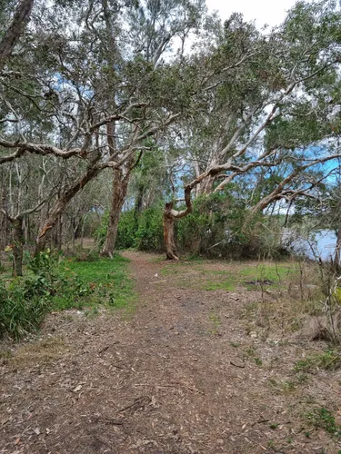 Best Mountain Biking Trails in Woolgoolga | AllTrails