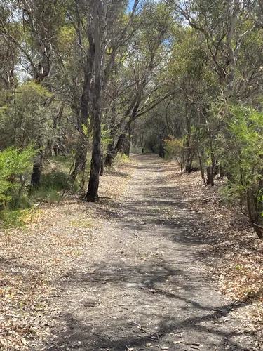 Best Hikes and Trails in Thomsons Lake Nature Reserve | AllTrails