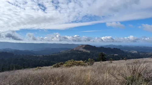 Best Hikes and Trails in Russian Ridge Open Space Preserve | AllTrails