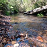 Masons Falls and Mount Sugarloaf Circuit, Victoria, Australia - 872 ...