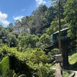 Penang Hill via Moongate - Wild Boar - Moniot, Penang, Malaysia - 229 ...
