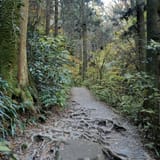 Mount Takao: Trail 6 - Trail 4, Tokyo, Japan - 129 Reviews, Map | AllTrails