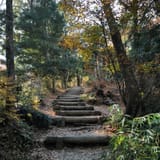 Mount Takao: Trail 6 - Trail 4, Tokyo, Japan - 129 Reviews, Map | AllTrails