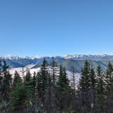 Mount Walker, Washington - 2,003 Reviews, Map | AllTrails
