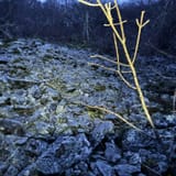 Hawksbill Loop Trail, Virginia - 4,114 Reviews, Map | AllTrails