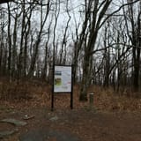 Hawksbill Loop Trail, Virginia - 4,114 Reviews, Map | AllTrails