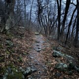 Hawksbill Loop Trail, Virginia - 4,114 Reviews, Map | AllTrails
